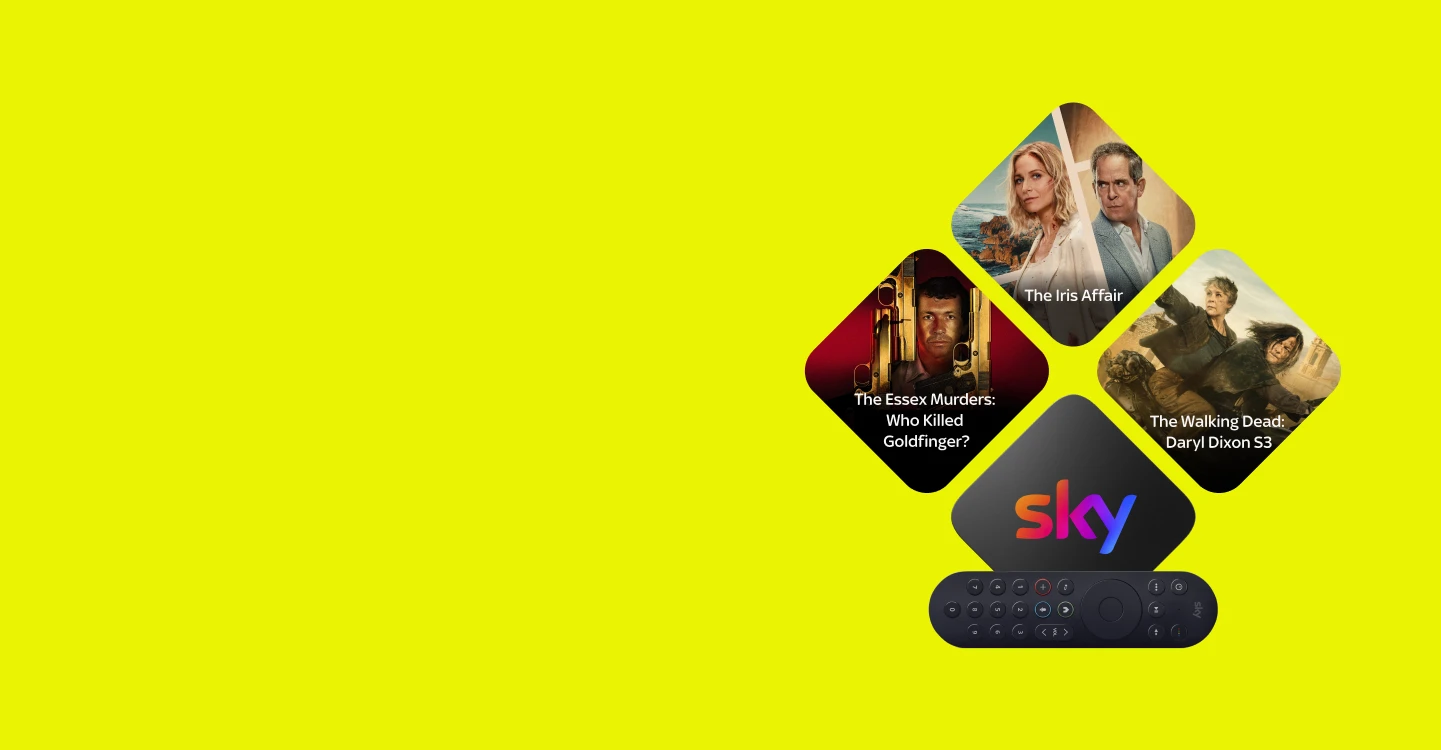 Sky Stream | Sky Stream Puck | EE